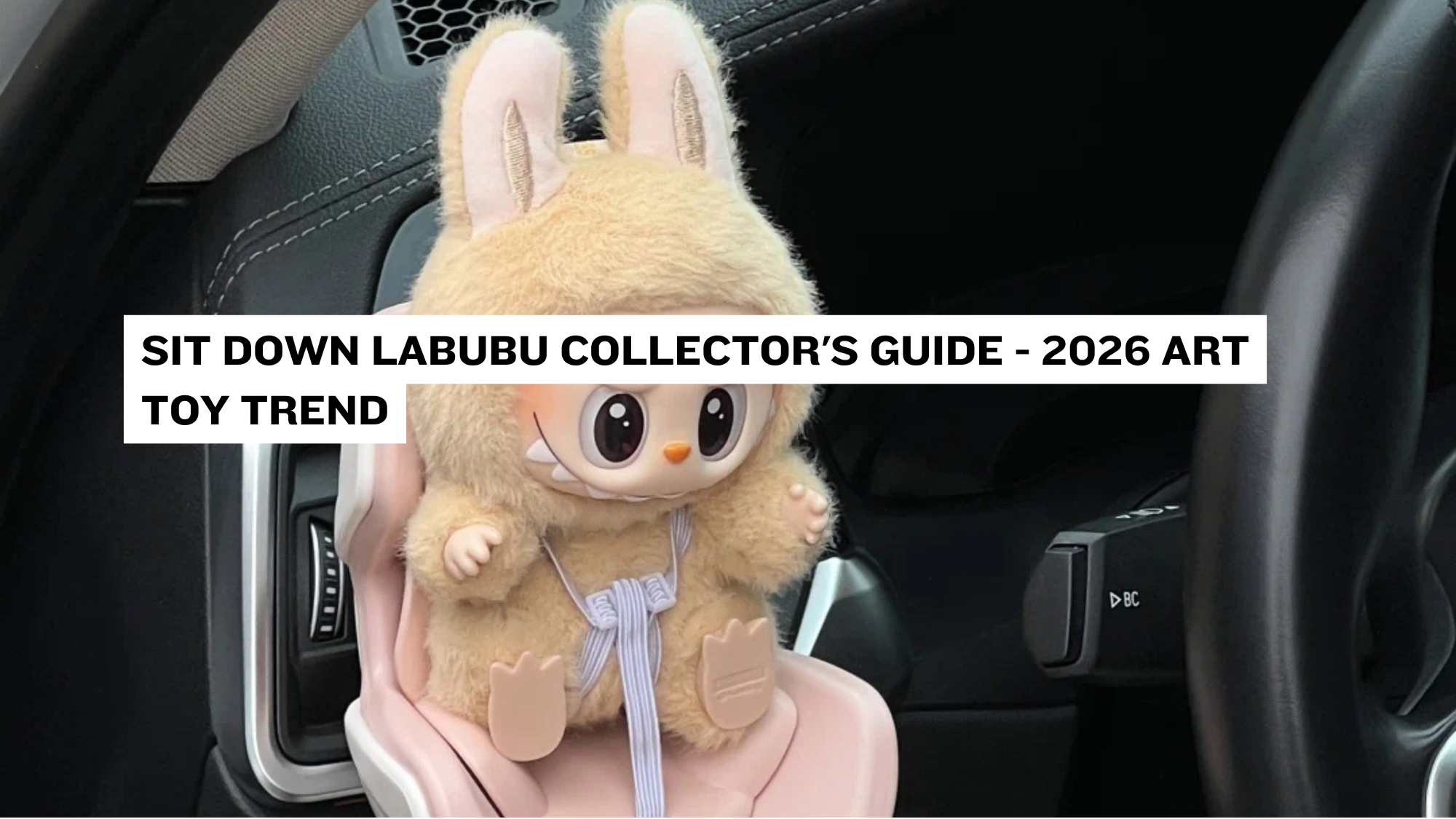 Sit Down Labubu Collector's Guide - 2026 Art Toy Trend – Double Boxed