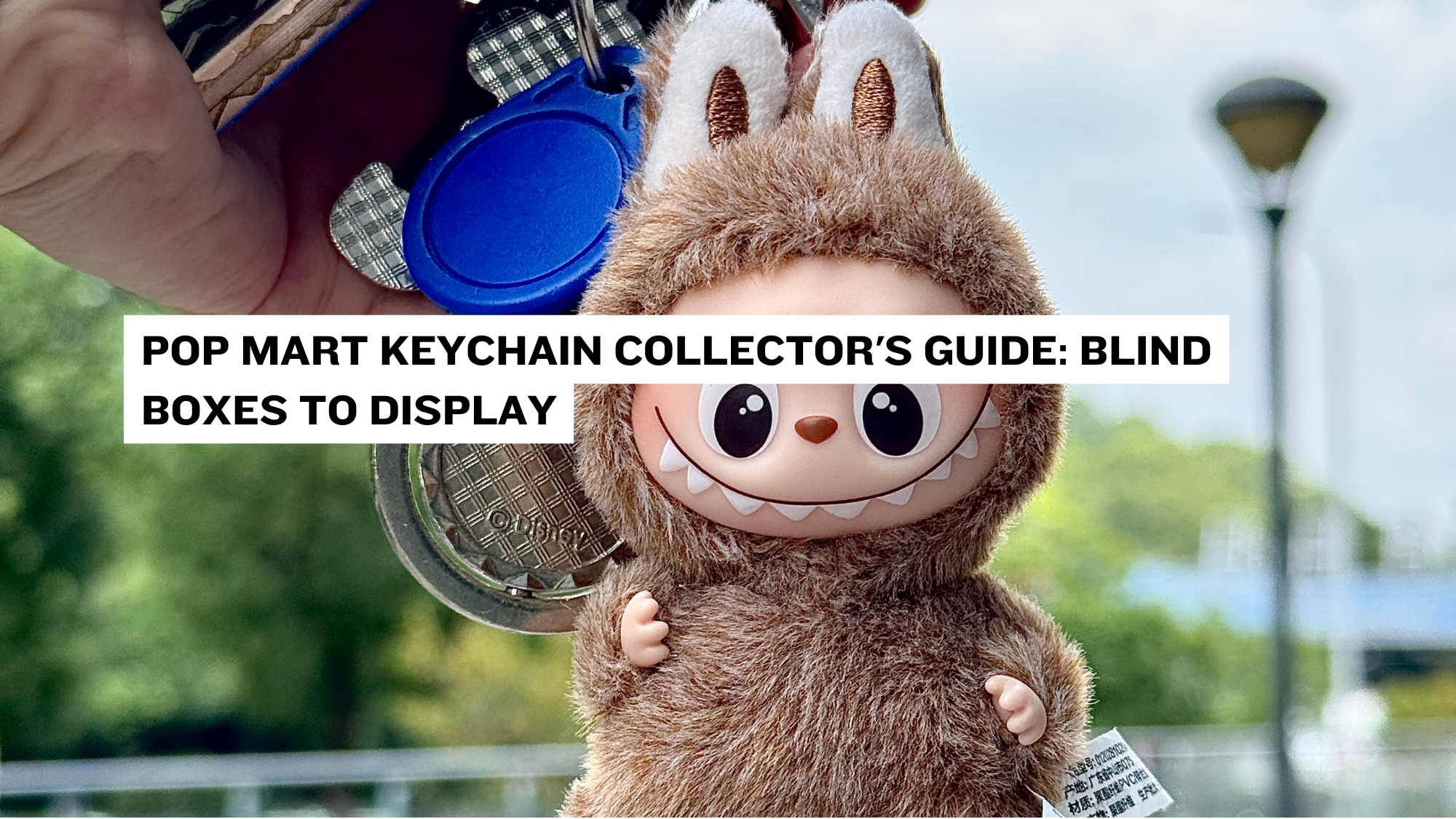 Pop Mart Keychain Collector's Guide: Blind Boxes to Display – Double Boxed
