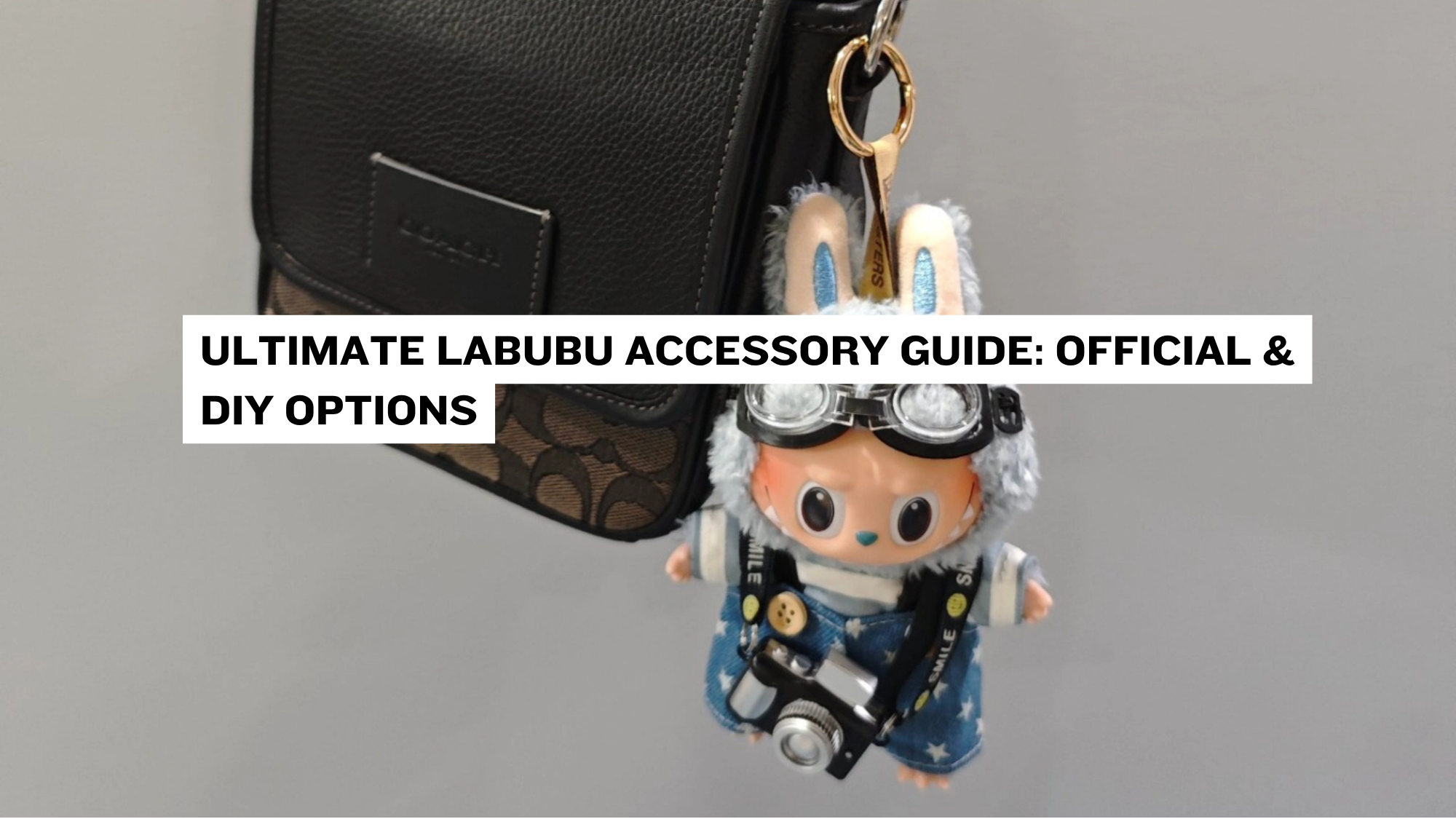 Ultimate Labubu Accessory Guide: Official & DIY Options – Double Boxed